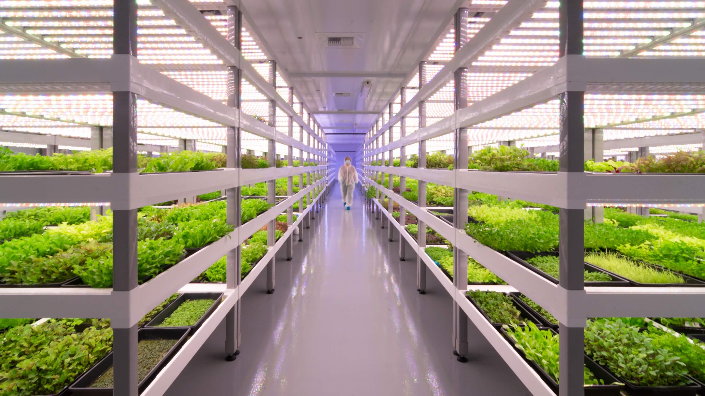Four Tips for Keeping a Tidy Grow Room – Shelving Inc.